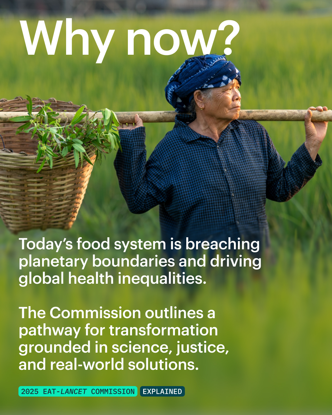 IIASA contributes to the new EAT-Lancet Commission report on food ...