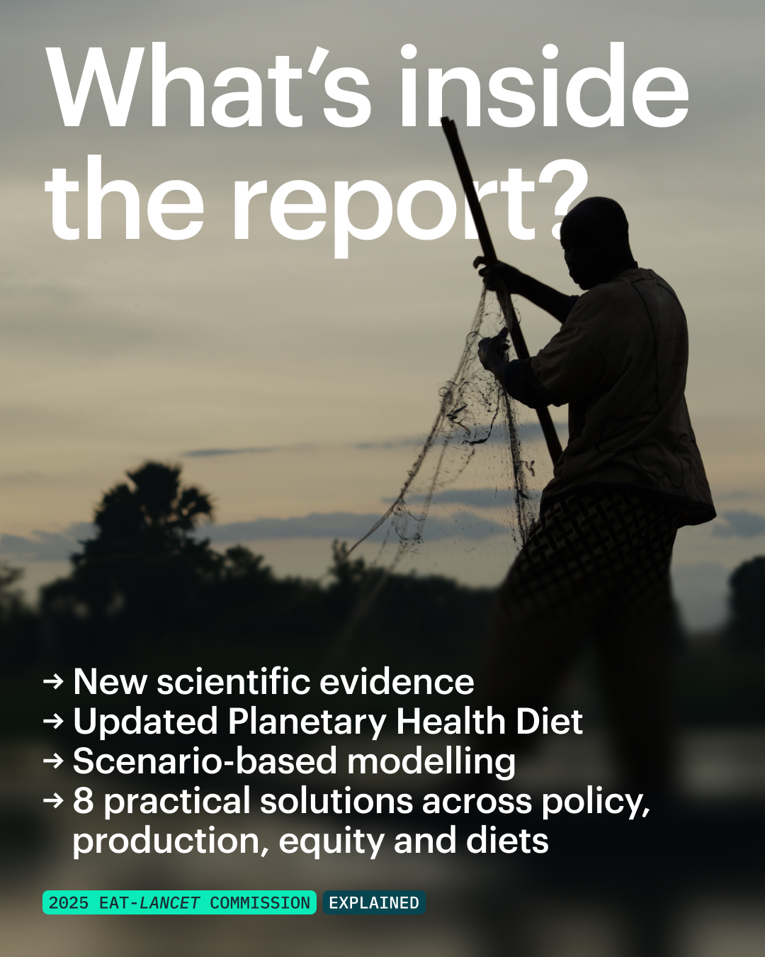 IIASA contributes to the new EAT-Lancet Commission report on food ...