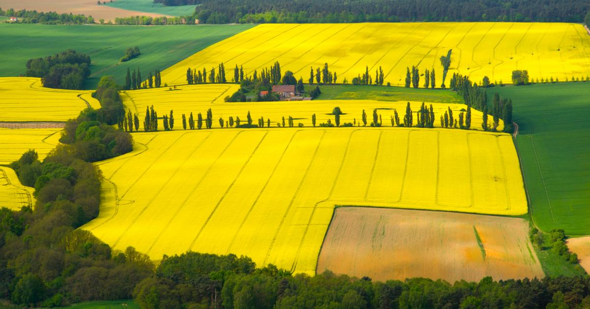 Sustainable water management key to scaling up bioenergy production | IIASA
