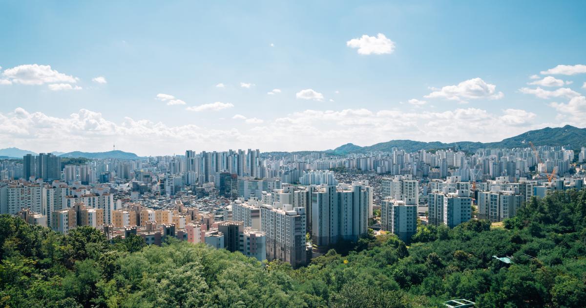 An analysis of forest management in the Republic of Korea | IIASA