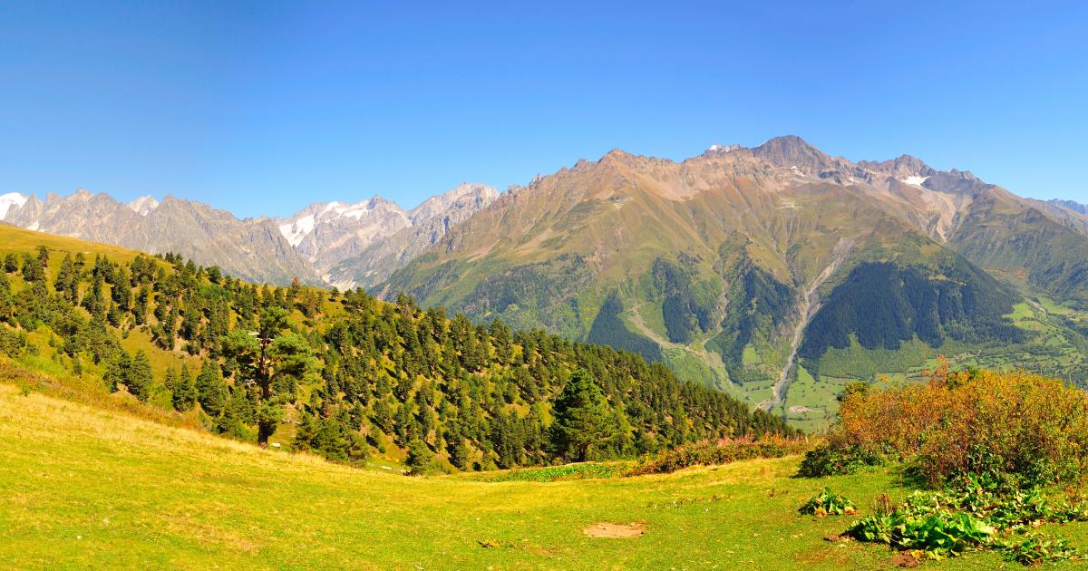 Protecting and connecting nature across Europe | IIASA